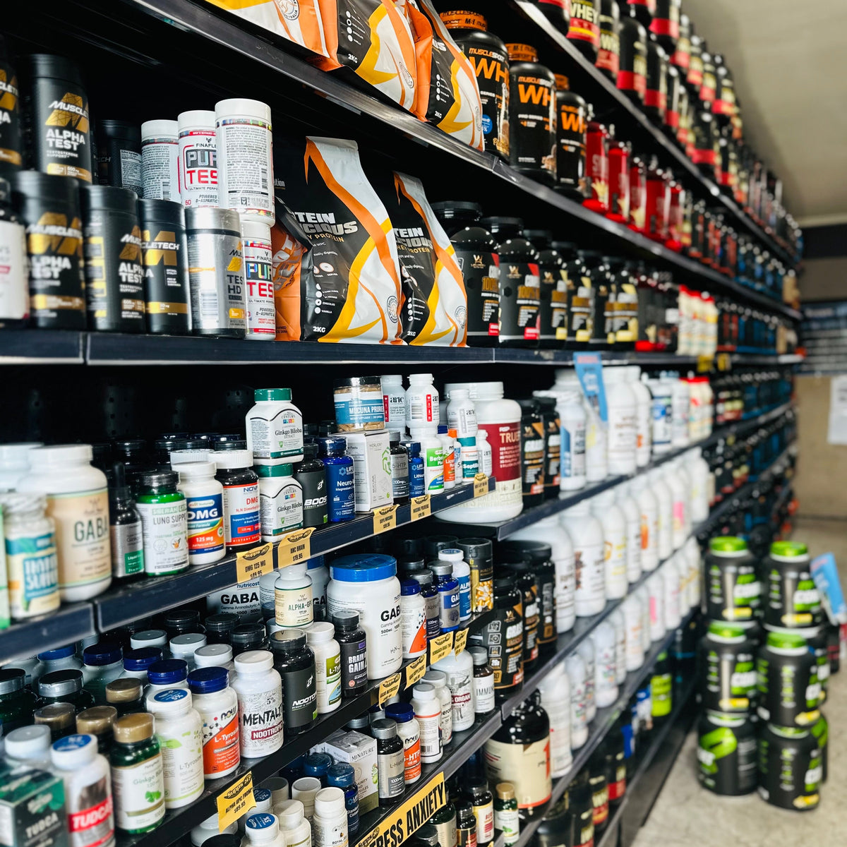 Elevate Your Fitness Game at Supps247: The Premier Bodybuilding Supple ...