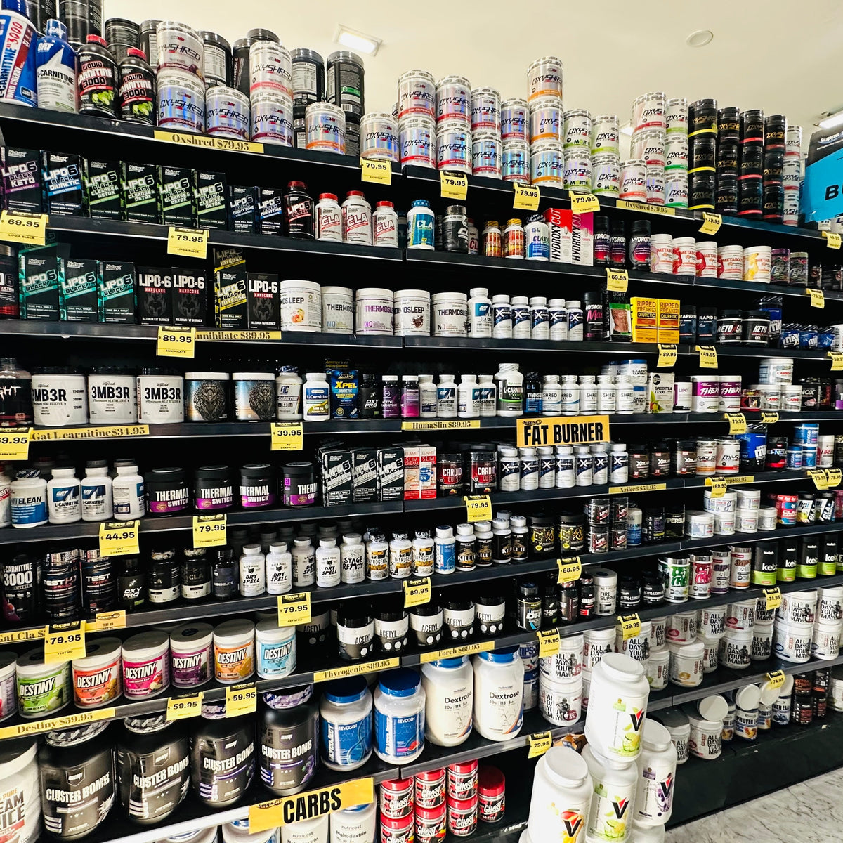 Discover the Best Vitamins and Supplement Store Near Somerton: Supps247 ...